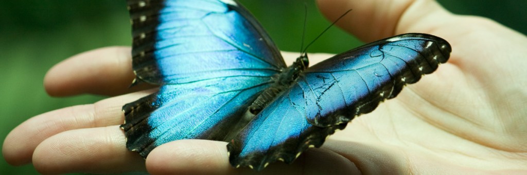 After Death Communications: How to Encourage Signs From Loved Ones In ...