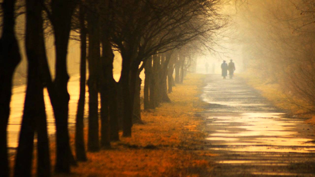 Study Claims Deathbed Visions Vital for a ‘Good Death’; Natural Part of ...